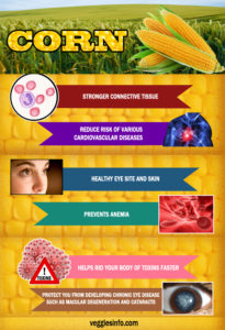 Corn Nutrition Facts and Health Benefits | Veggies Info