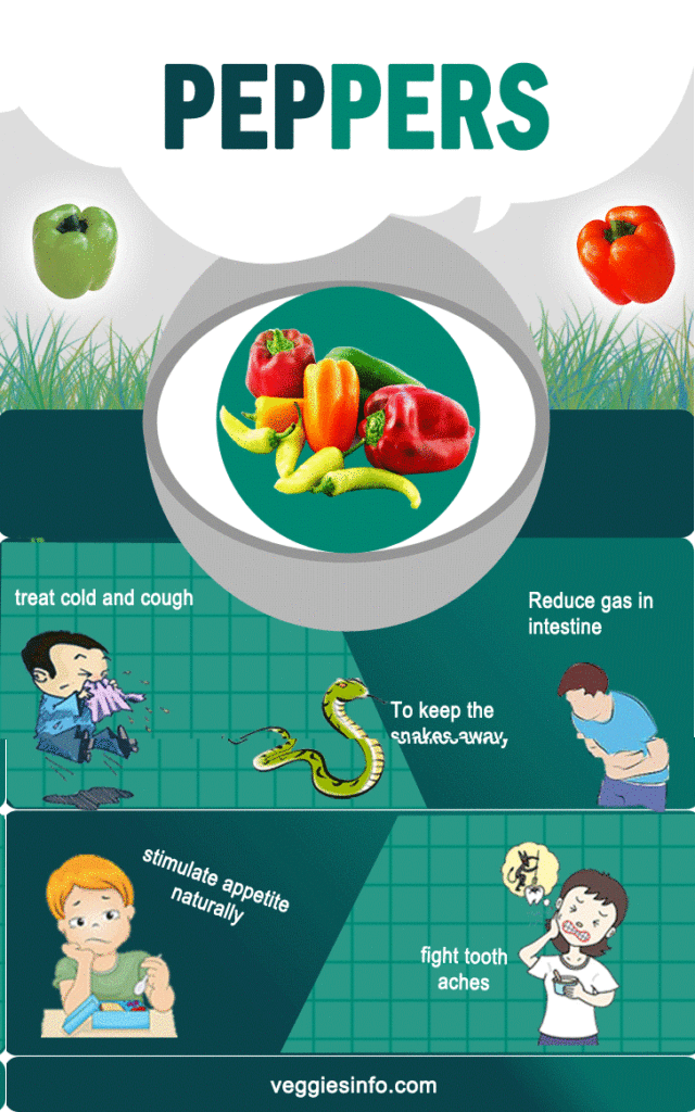 Peppers Facts and its Health Benefits | Veggies Info