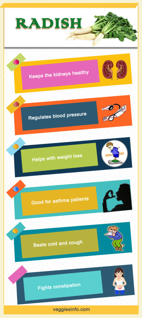 Health Information and Nutrition Guide | Radish | Veggies Info