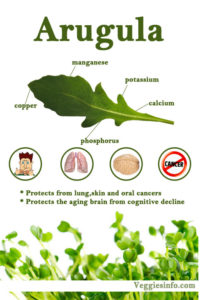 Arugula Health Summary and Nutrition Information | Veggies Info