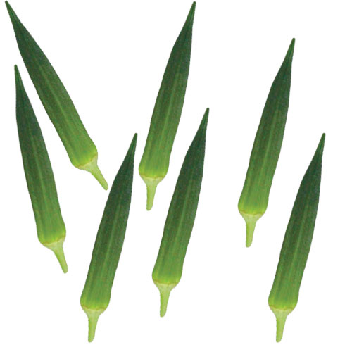 Okra : Health Values and Nutrition Information | Veggies Info