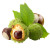 American Larger Chestnuts Health Facts | Veggies Info