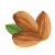 Almond Nuts Beneficial Properties & Health Facts | Veggies Info