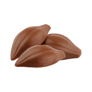 Pili Nuts Nutrition Guide and Healthy Eating | Veggies Info