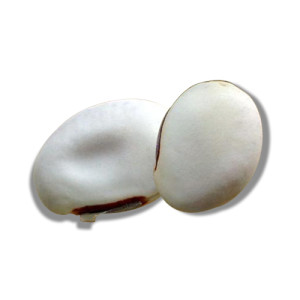 Nuts and Seeds | Veggies Info