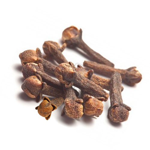 Clove - The Tiny Buds With Health Benefits! | Veggies Info