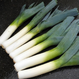 Kurrat | Egyptian Leek Properties And Uses - Veggies Info | Veggies Info