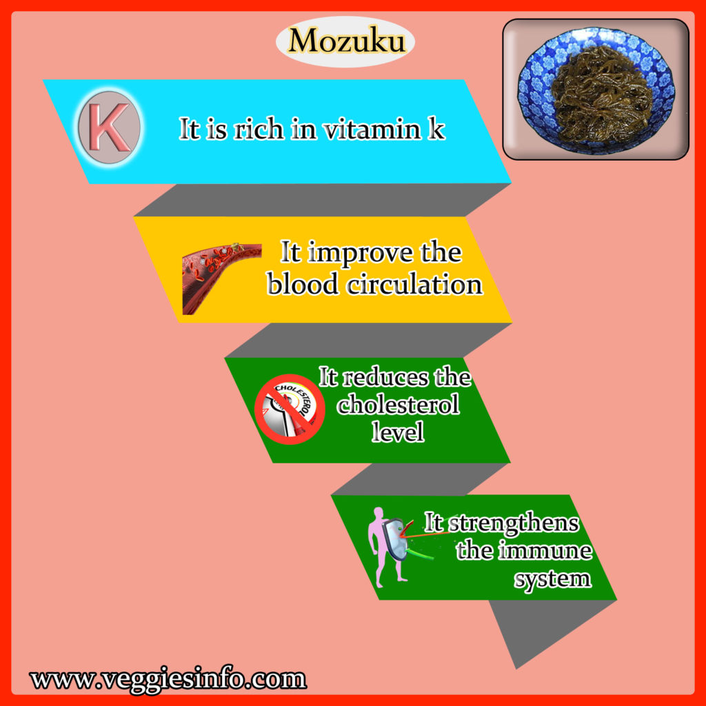 Mozuku Nutritional Value And Its Uses - Veggies Info | Veggies Info