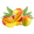 Bush Mango Nuts Nutritional Ingredients And Uses - Veggies Info ...