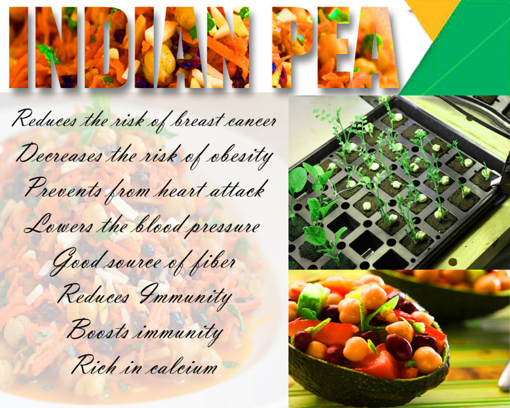 indian-pea-benefits - Veggies Info | Veggies Info