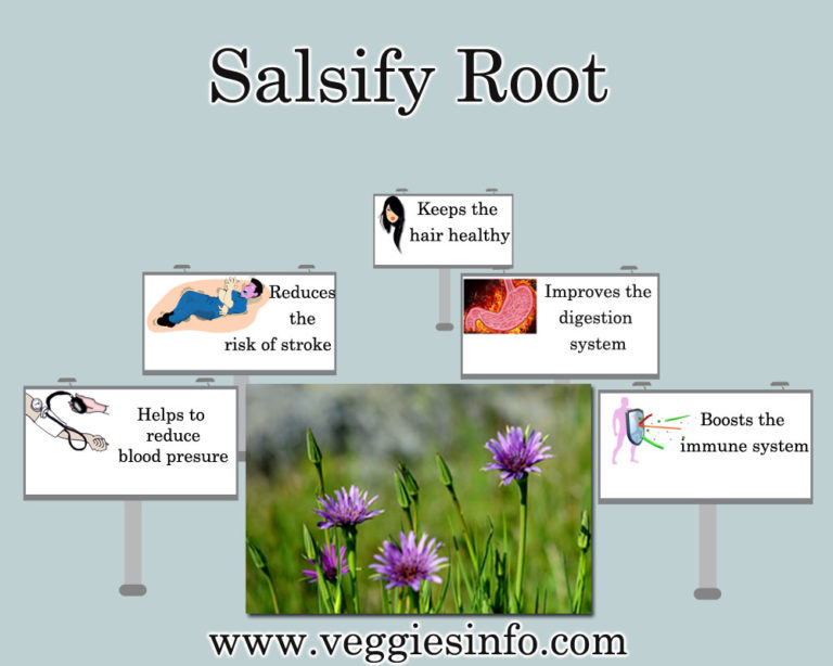 Salsify Root Benefits - Veggies Info | Veggies Info