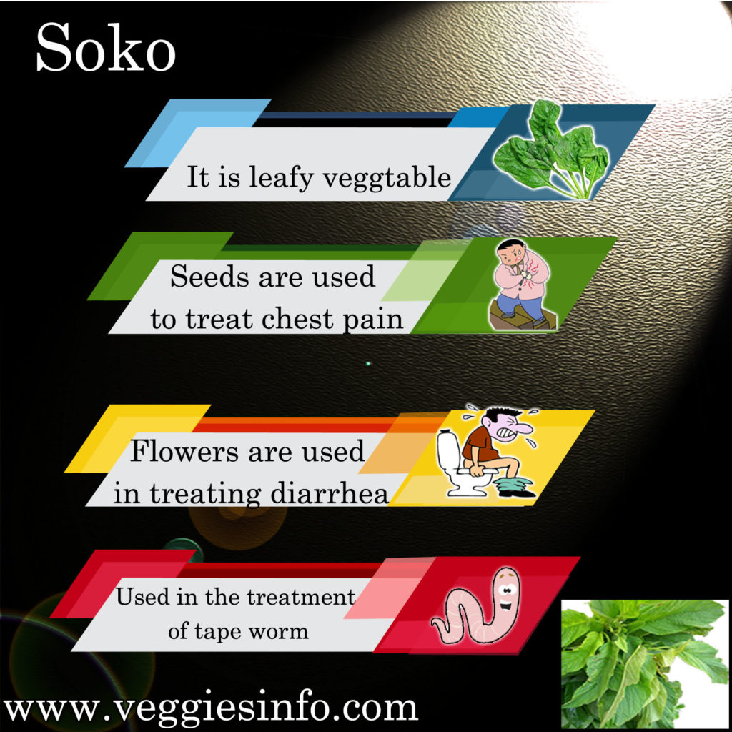 Soko aka silver cock's comb - Veggies Info | Veggies Info
