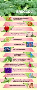 Broccoli Nutrition Guide and Health Summary | Veggies Info