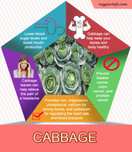Cabbage Uses | Nutrition Values | Benefits | Veggies Info