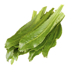 Culantro Leaves And Its Medicinal Values | Veggies Info