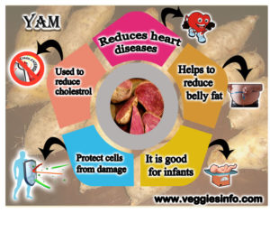 Yam Types Health Benefits And Its Nutritional Value | Veggies Info