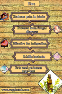 Rue And Its Amazing Medicinal Values | Veggies Info
