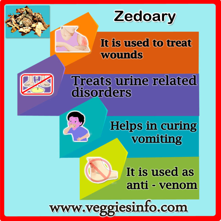 Zedoary native and Its Medicinal values | Veggies Info
