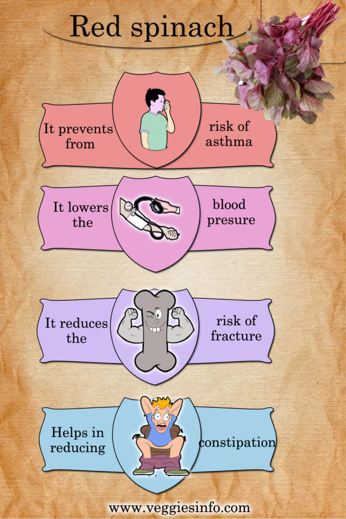 Red Spinach And Its Medicinal Properties | Veggies Info