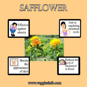 Safflower Medicinal And Health Uses | Veggies Info