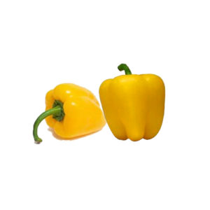 Capsicum Yellow Plant - Veggies Info | Veggies Info