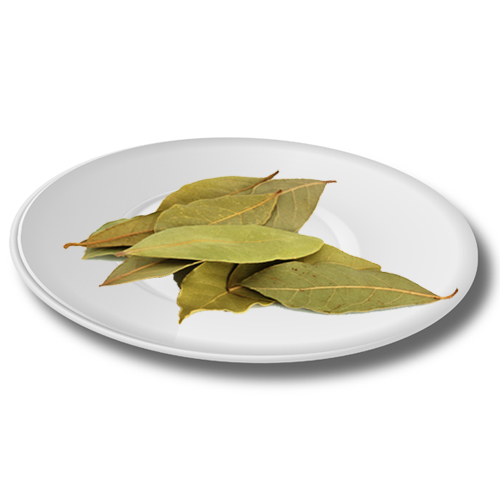 Indonesian Bay Leaf Health Benefits And Facts | Veggies Info