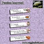 Persian Hogweed And Its Health Benefits | Veggies Info