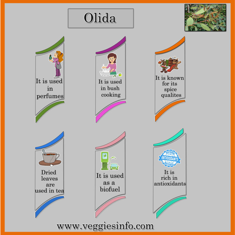 Olida - Veggies Info | Veggies Info