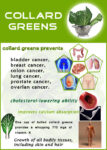 Collard Greens - Nutrition Facts and Health Guide | Veggies Info