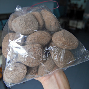 Keluak Drawbacks Properties And Its Health Benefits | Veggies Info