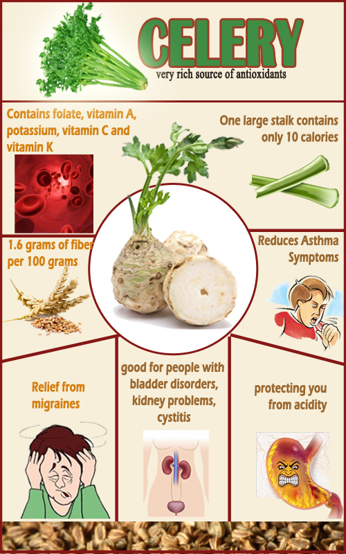 Celery Leaves Nutrition Benefits And Its Interesting Health Facts Celery Leaves Nutrition Benefits And Its Interesting Health Facts