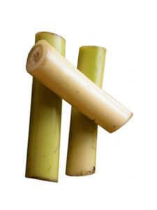 plantain stem health benefits - Veggies Info | Veggies Info